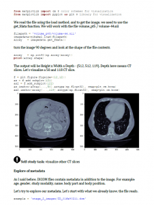 Course Medical Image Analysis In Python Alimbekov Renat